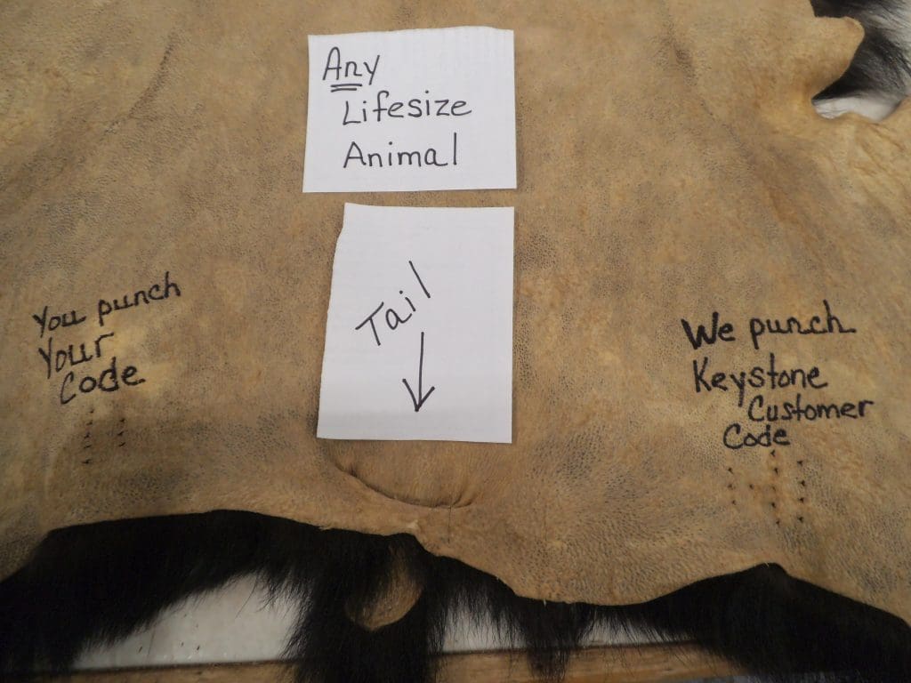 Terms & Conditions – Keystone Fur Dressing