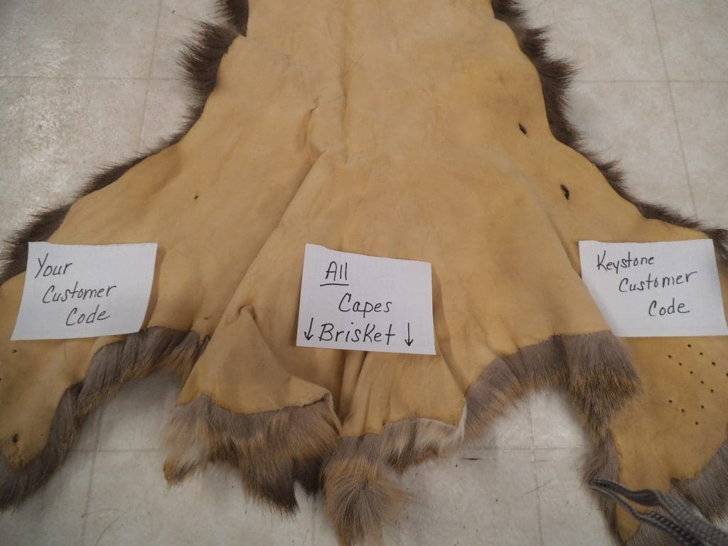 Terms & Conditions – Keystone Fur Dressing