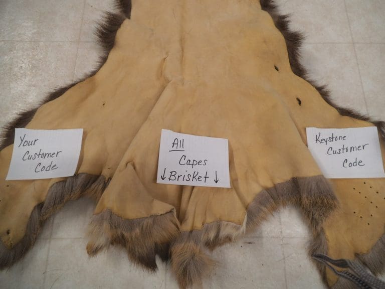 Terms & Conditions – Keystone Fur Dressing